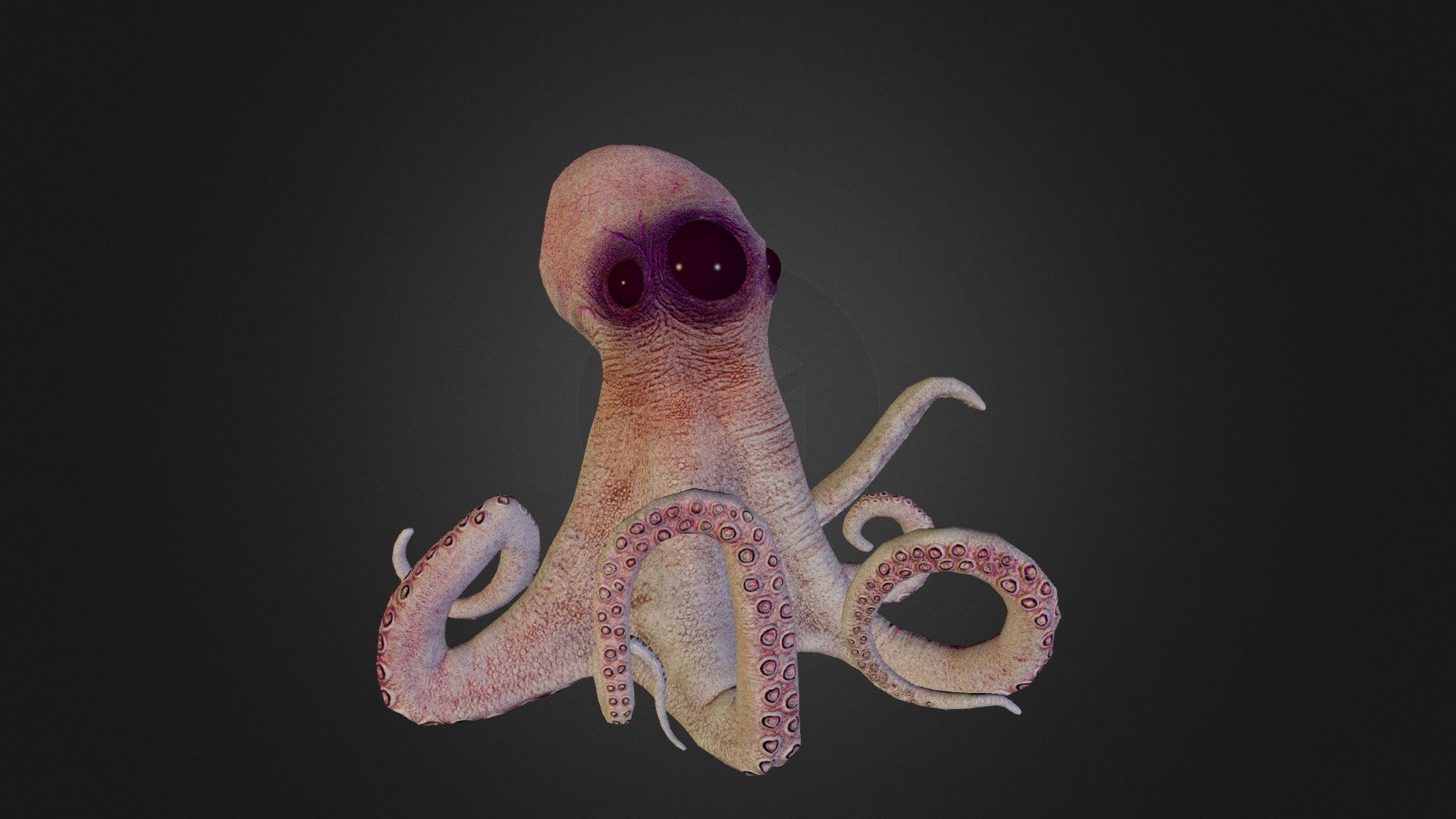 Octopus - 3D model by camilor [5a98f93] - Sketchfab
