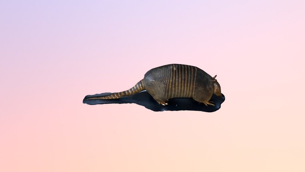 Armadillo 2 - 3D model by pking [5a9aac1] - Sketchfab