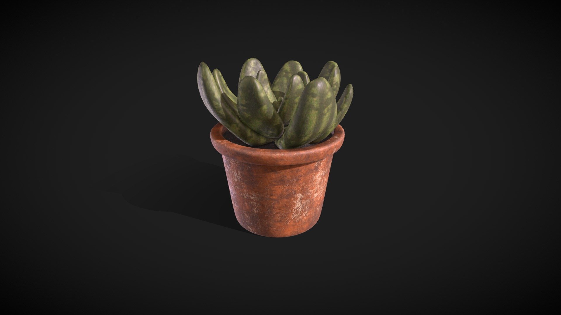 Plant / succulent - Download Free 3D model by SusanKing (@krolzuzannapl ...