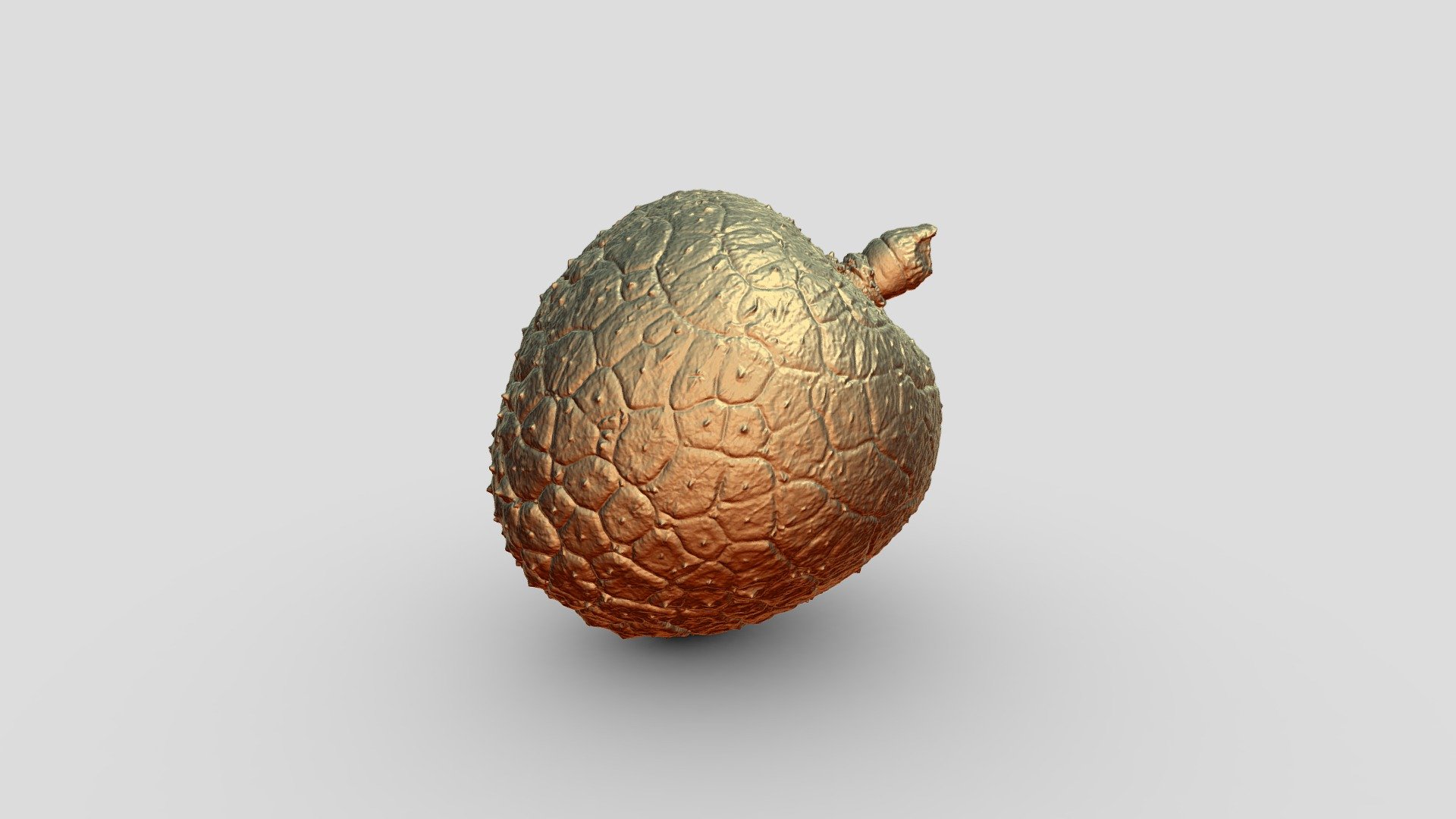 Litchi - Download Free 3D model by Diana Liu (@Diana123456) [5a9c5d6 ...