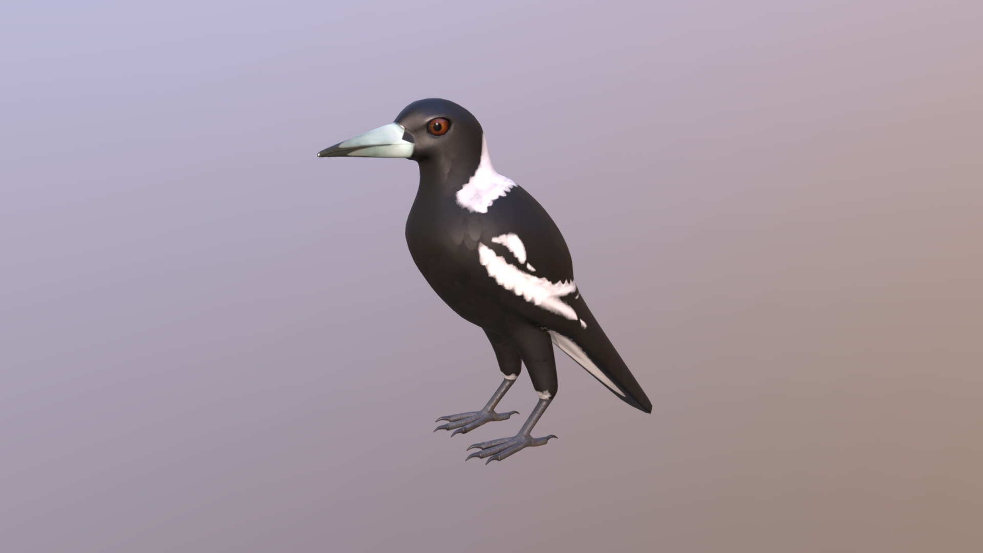 Australian Magpie Mid Poly - 3D model by Dylan Lowe (@DylanLowe ...