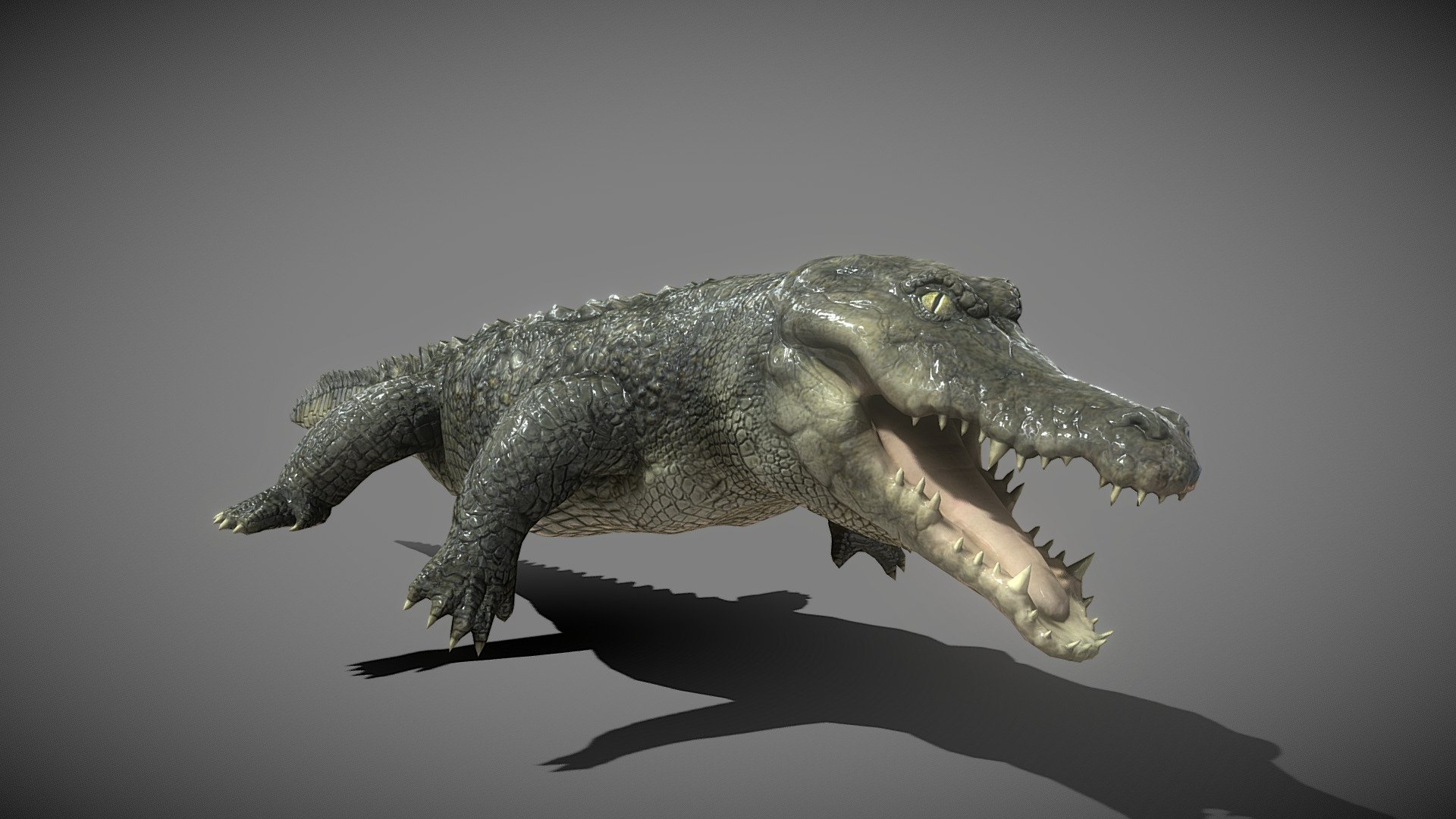Crocodile - 3D model by Lexaan (@DeadlyNoob) [5aa33b0] - Sketchfab