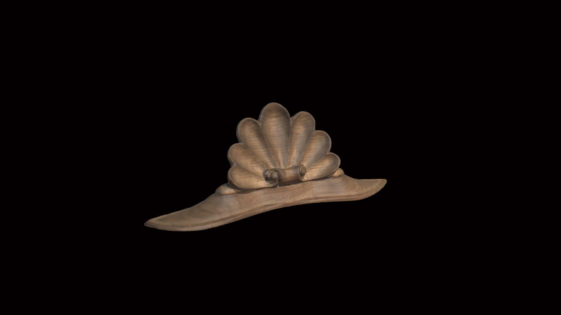 shell - Download Free 3D model by kmkkntu [5aa3736] - Sketchfab