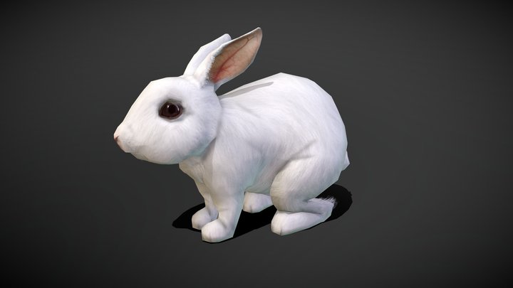 Rabbit-ears 3D models - Sketchfab