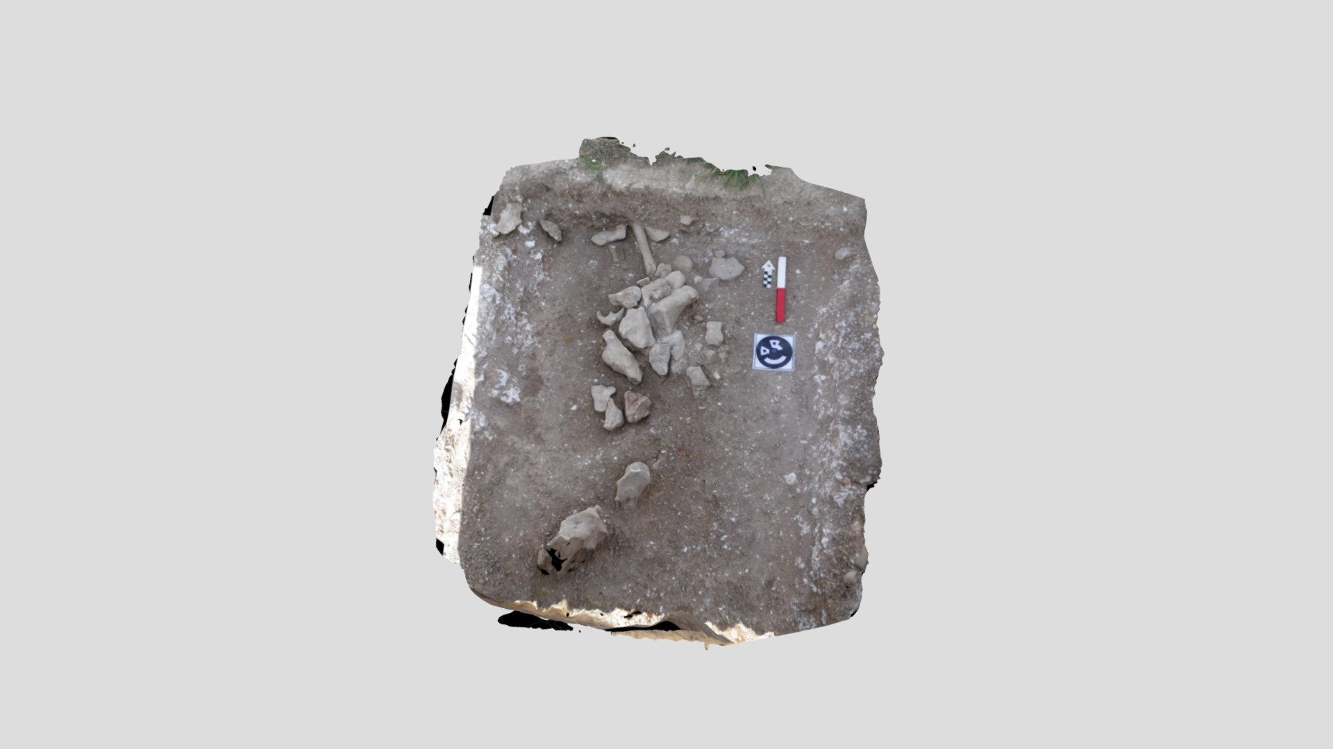 Bone and Flint RC22 - 3D model by DiggerJack (@jlskelton) [5aae408 ...