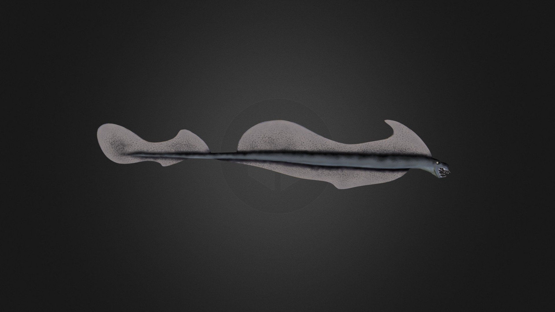 Lizard - 3D model by Vicente Torres Rossello (@bulpicatrepode) [5ab6a70 ...
