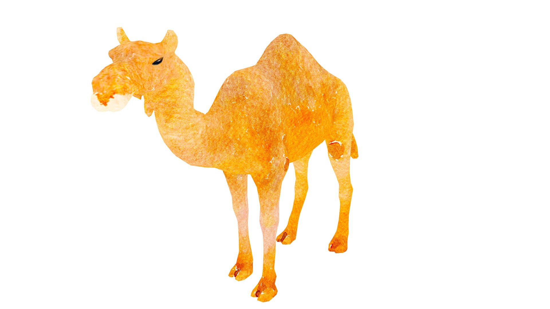 Camel 2 Illustration - 3D model by josluat91 [5ab9a7a] - Sketchfab