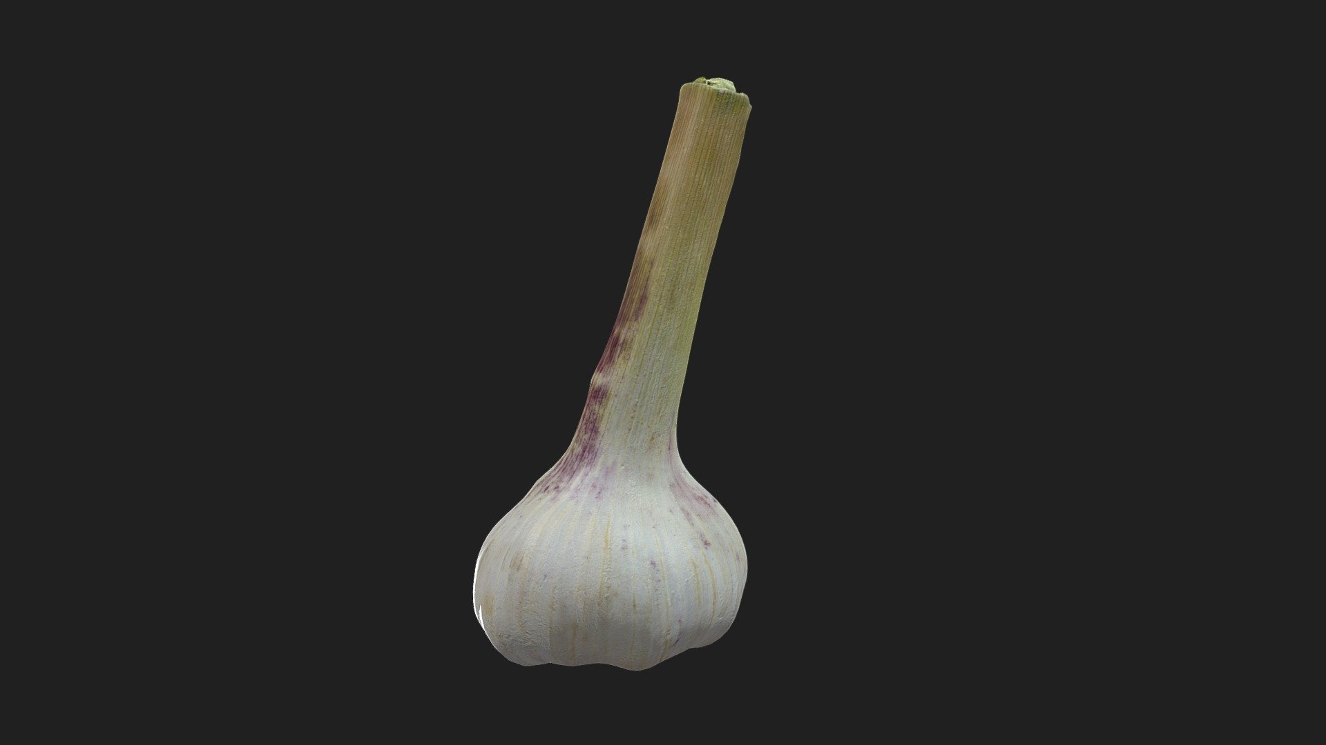 Garlic Photogrammetry scan - 3D model by CGNScan [5accc01] - Sketchfab