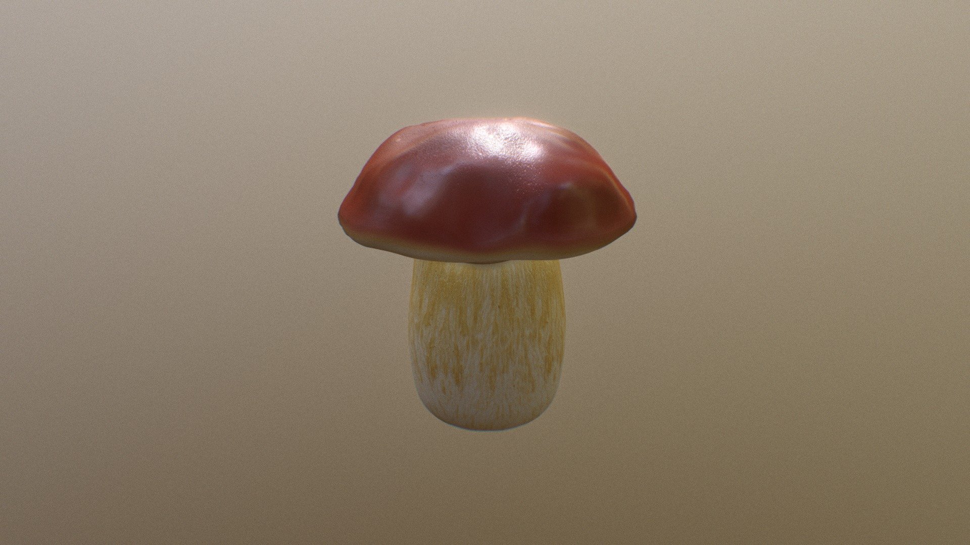 Boletus - 3D model by FRPNT_76 [5ace04f] - Sketchfab