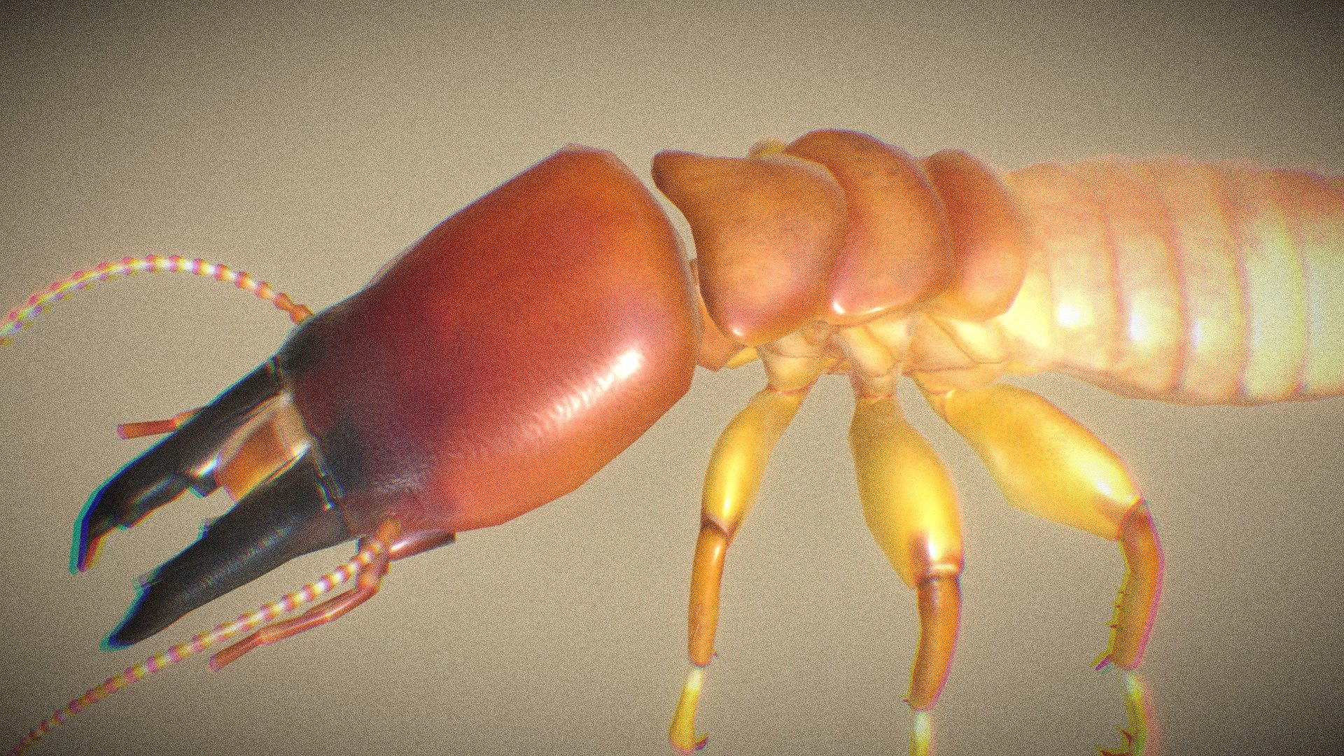 Termite - 3D model by LB3D (@alienated) [5ad77f7] - Sketchfab