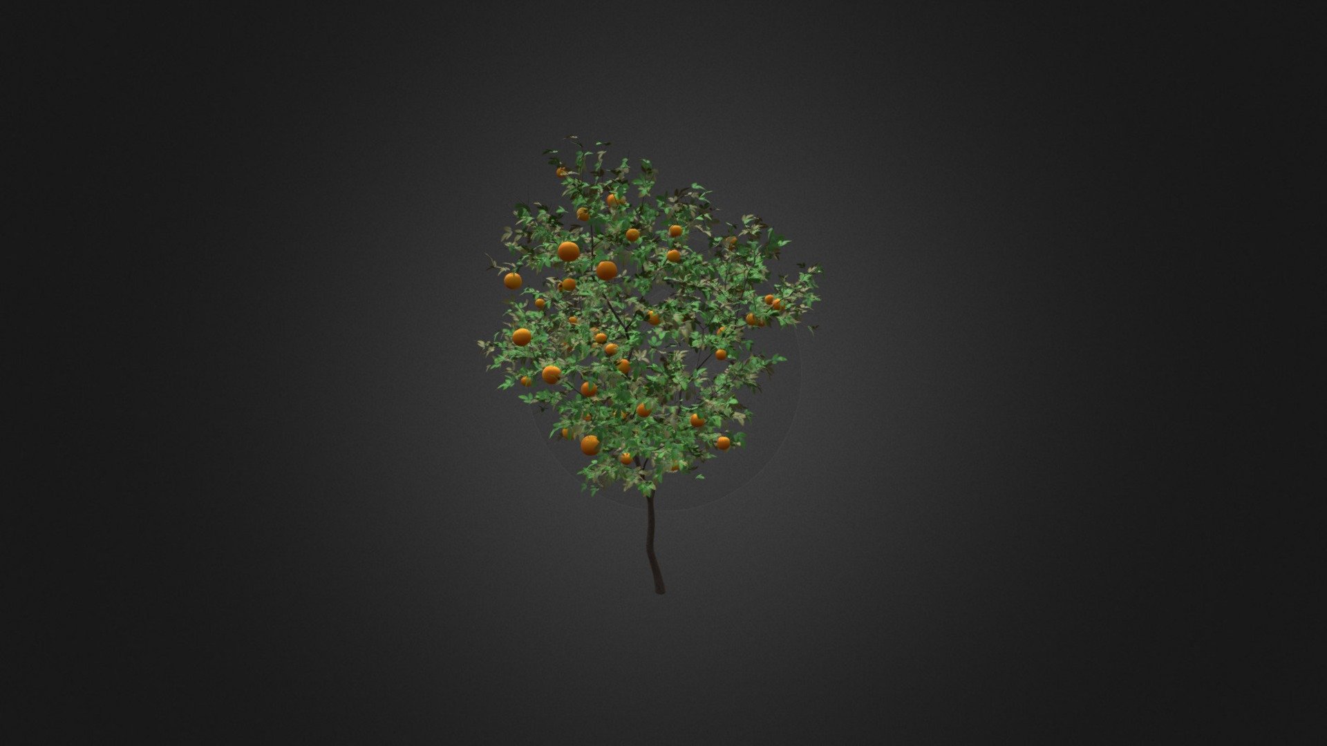 Orange Tree with Fruits 3D Model 3.4m - Buy Royalty Free 3D model by ...