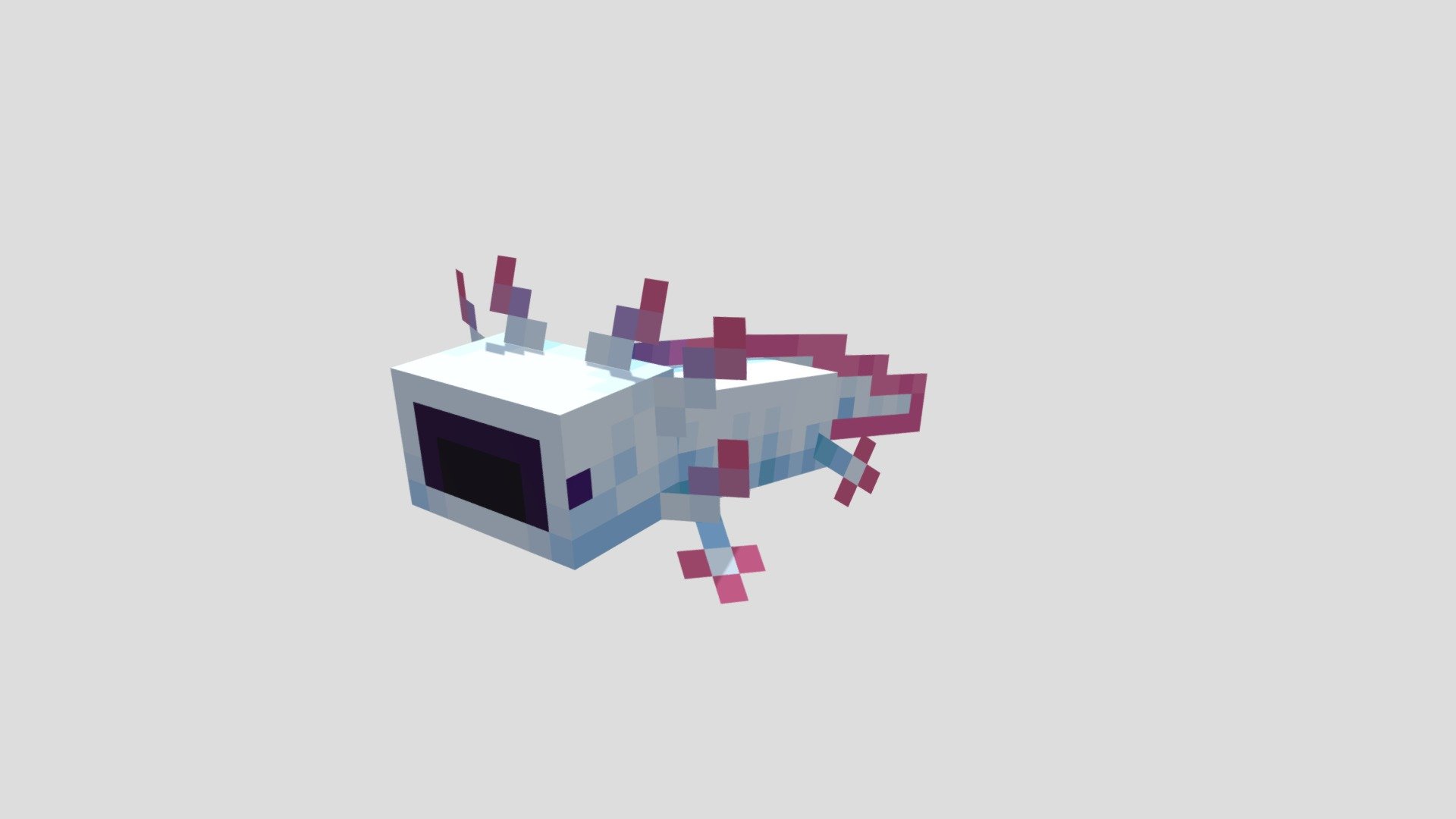 white axolotl(mouth open) - Download Free 3D model by JohnElkes ...