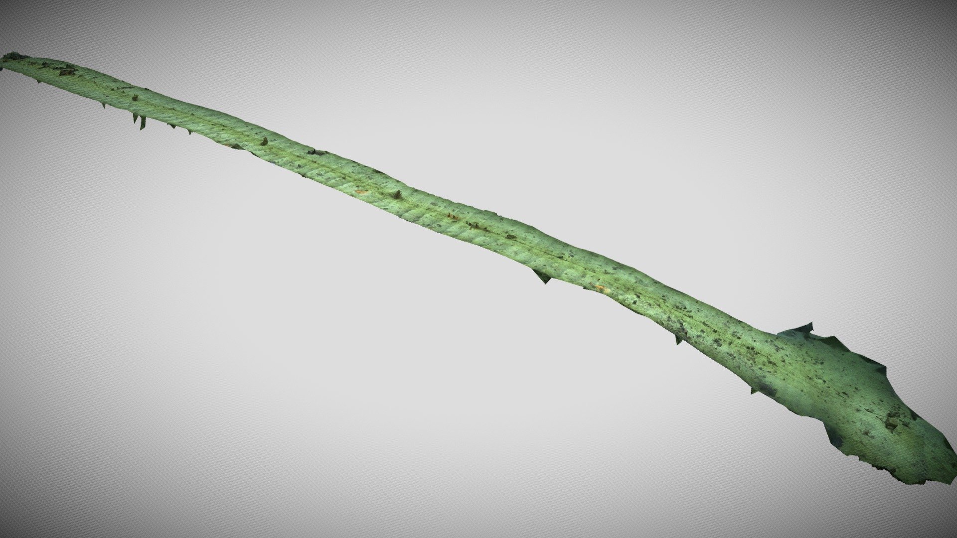 Photogrammetry Sled Test Run 4 - 3D model by Roger Lacasse (@rlacasse67 ...