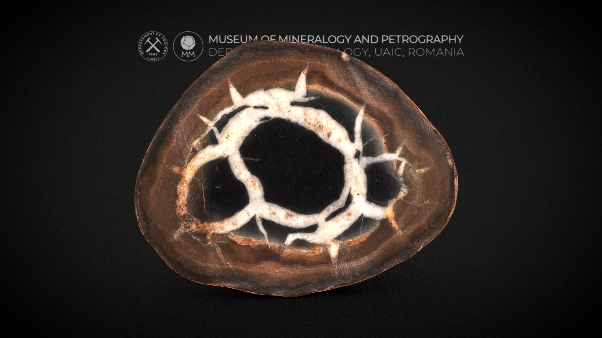 Polished Septarian nodule - 3D model by Museum of Mineralogy and ...