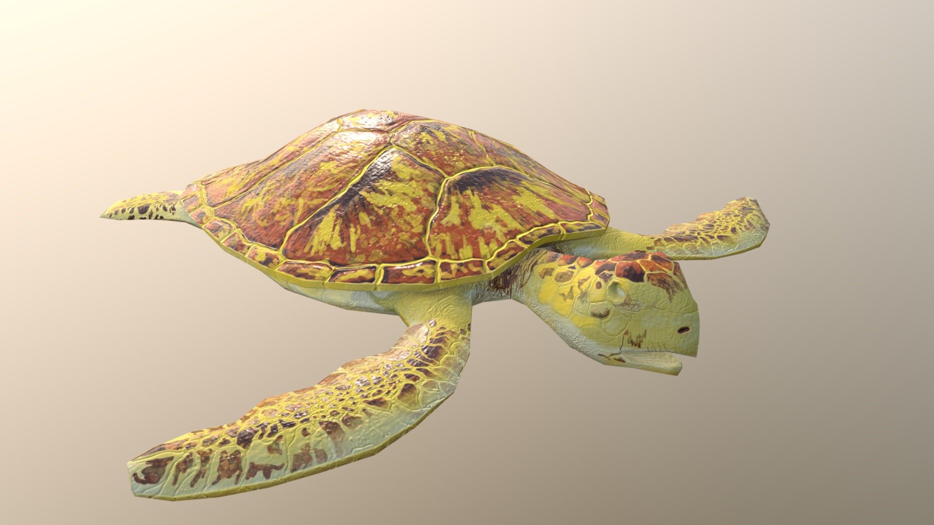 Sea Turtle - Skin - 3D model by WeirdistBuilds [5ae8700] - Sketchfab