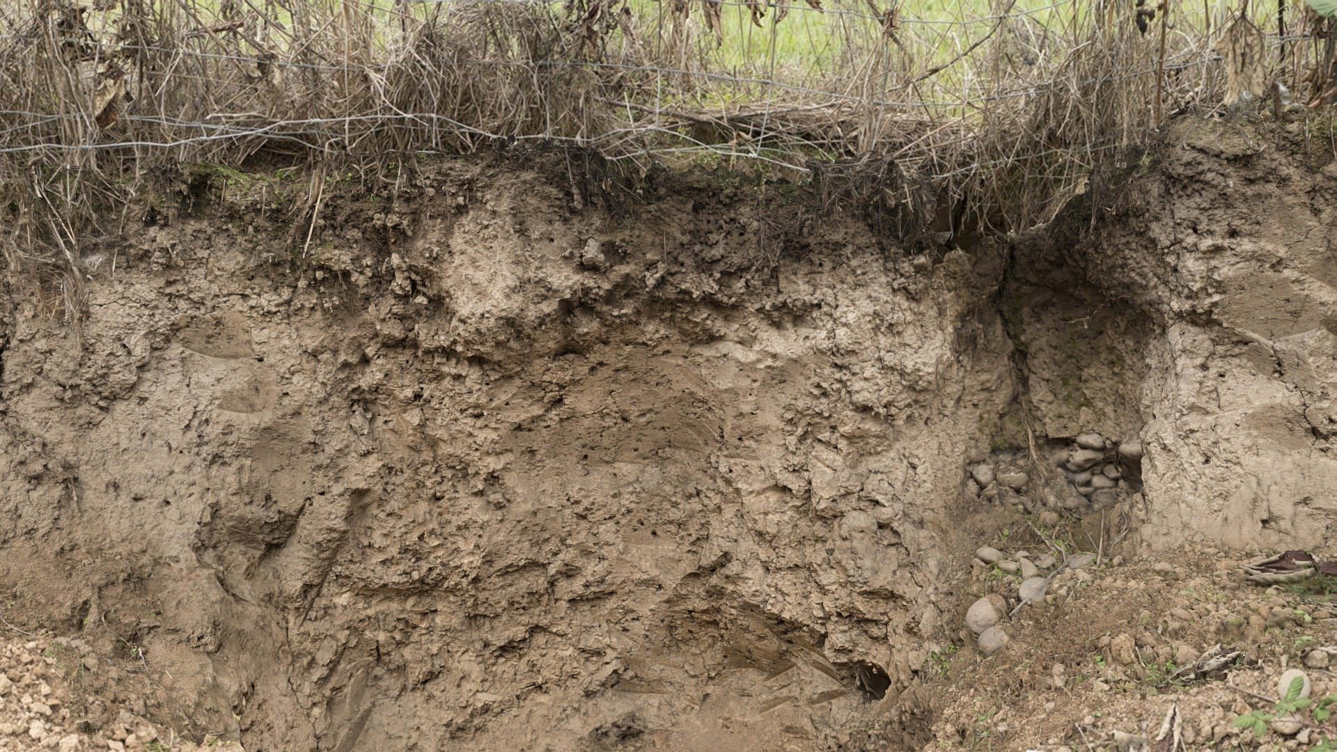 Swine Farm - Lab 8 SOIL 466 - Download Free 3D model by Oregon State ...