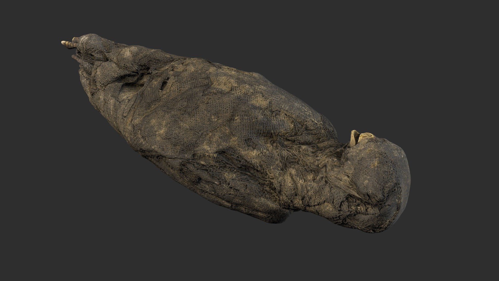 Scanned Mummy Bird - 3D model by marcell.erdodi [5af90d4] - Sketchfab