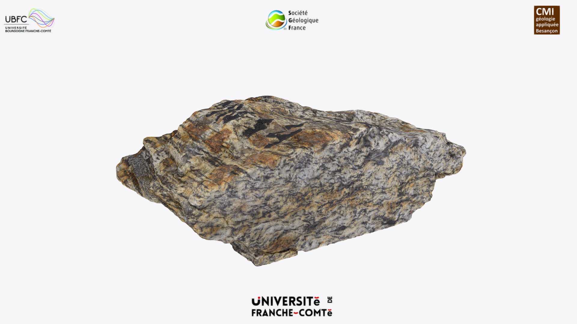 Orthogneiss and L-tectonite - Download Free 3D model by Société ...