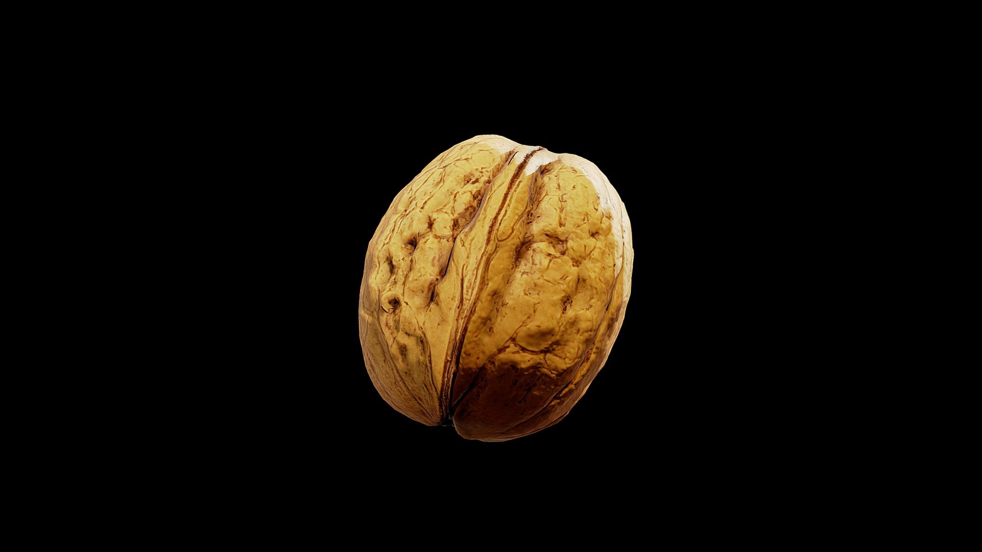 Walnut 3D-Scan - Download Free 3D model by moustafatarek27 [5b044e2 ...