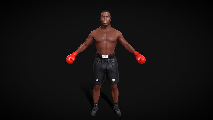 Boxer 3D models - Sketchfab