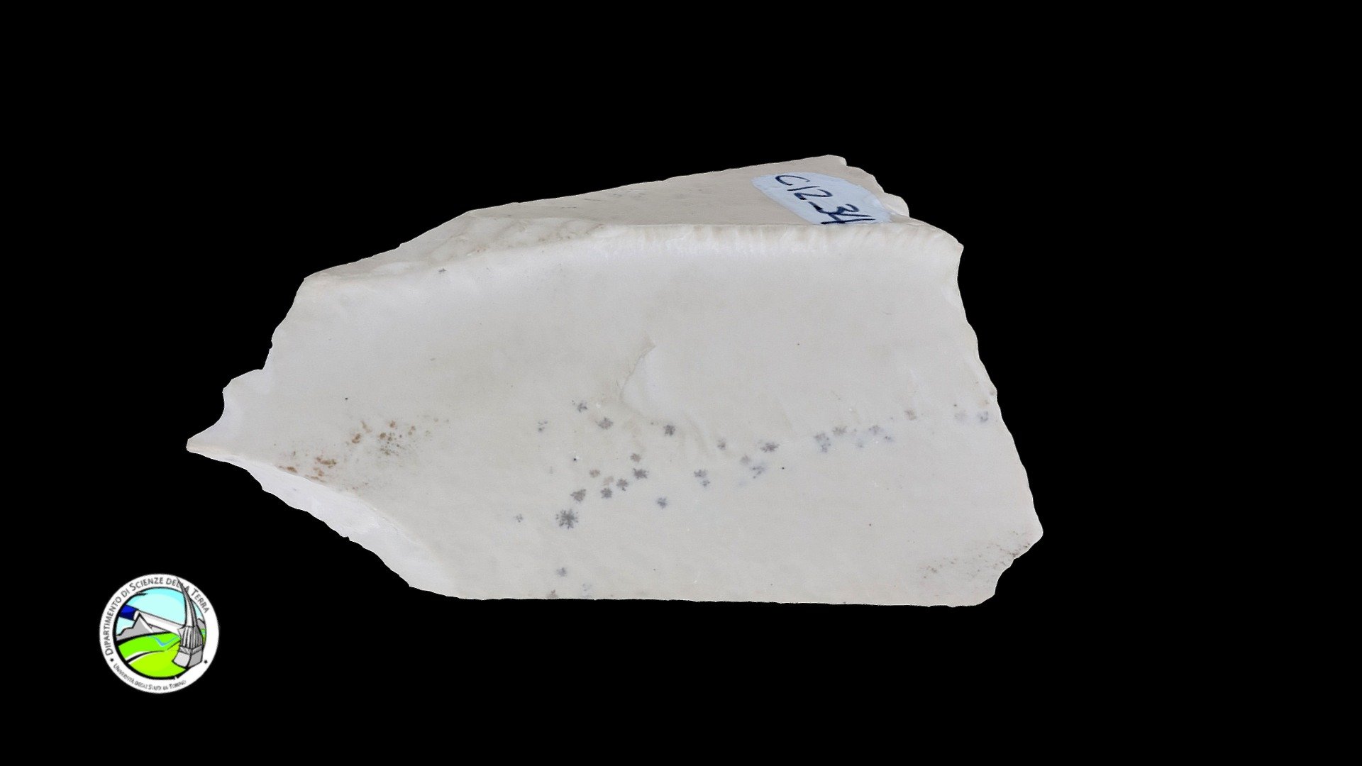 C12_34 - Calcare Bianco di Tebe - 3D model by Dipartimento di Scienze ...