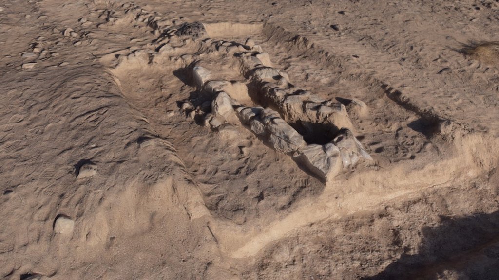 trench D - 3D model by yuichi hayakawa (@yshaya) [5b0c7aa] - Sketchfab
