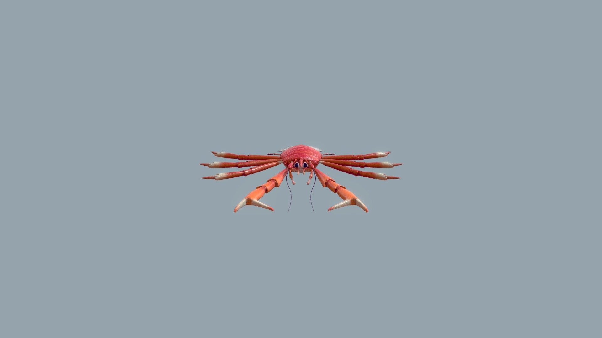 Munididae - 3D model by EVNautilus [5b1b0d3] - Sketchfab