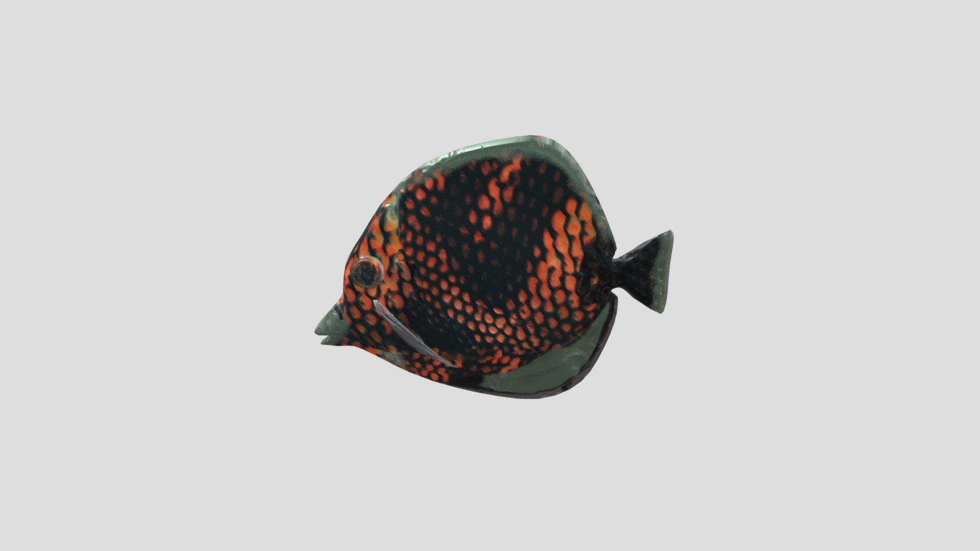 Fish - 3D model by KBARNES28 [5b2a1ed] - Sketchfab