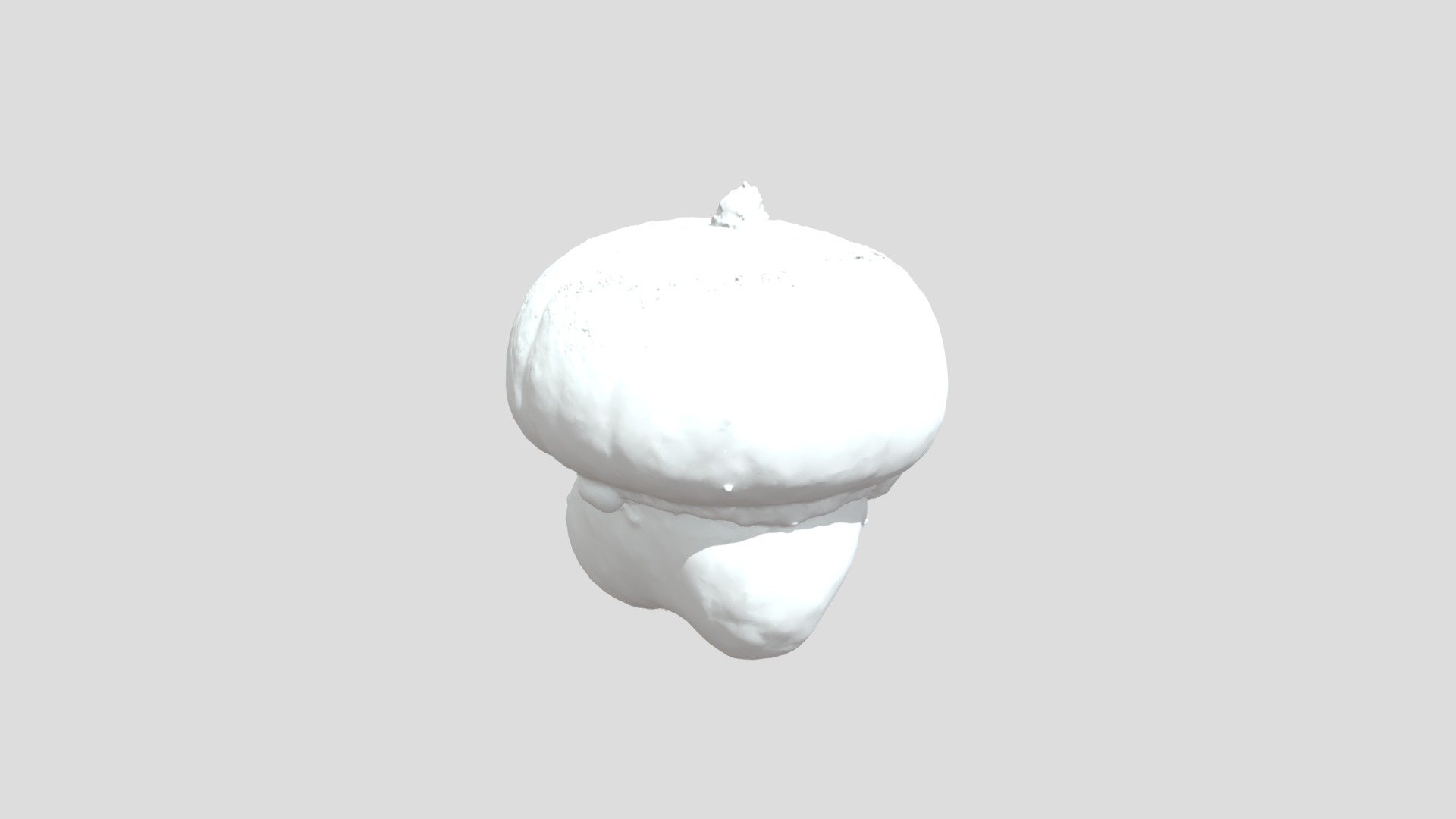 Zucca_3D Model_no texture - 3D model by fvmattio [5b30a9d] - Sketchfab
