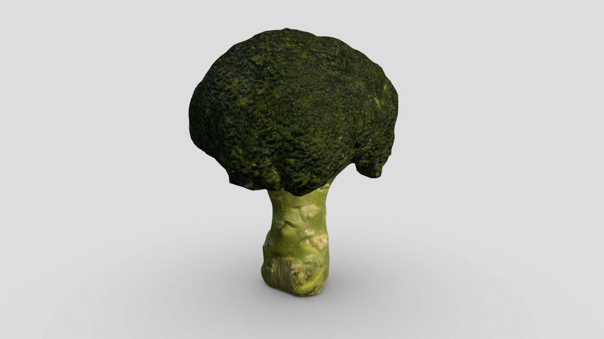 Broccoli - Buy Royalty Free 3D model by Clip Code (@ClipCode) [5b35bb9 ...