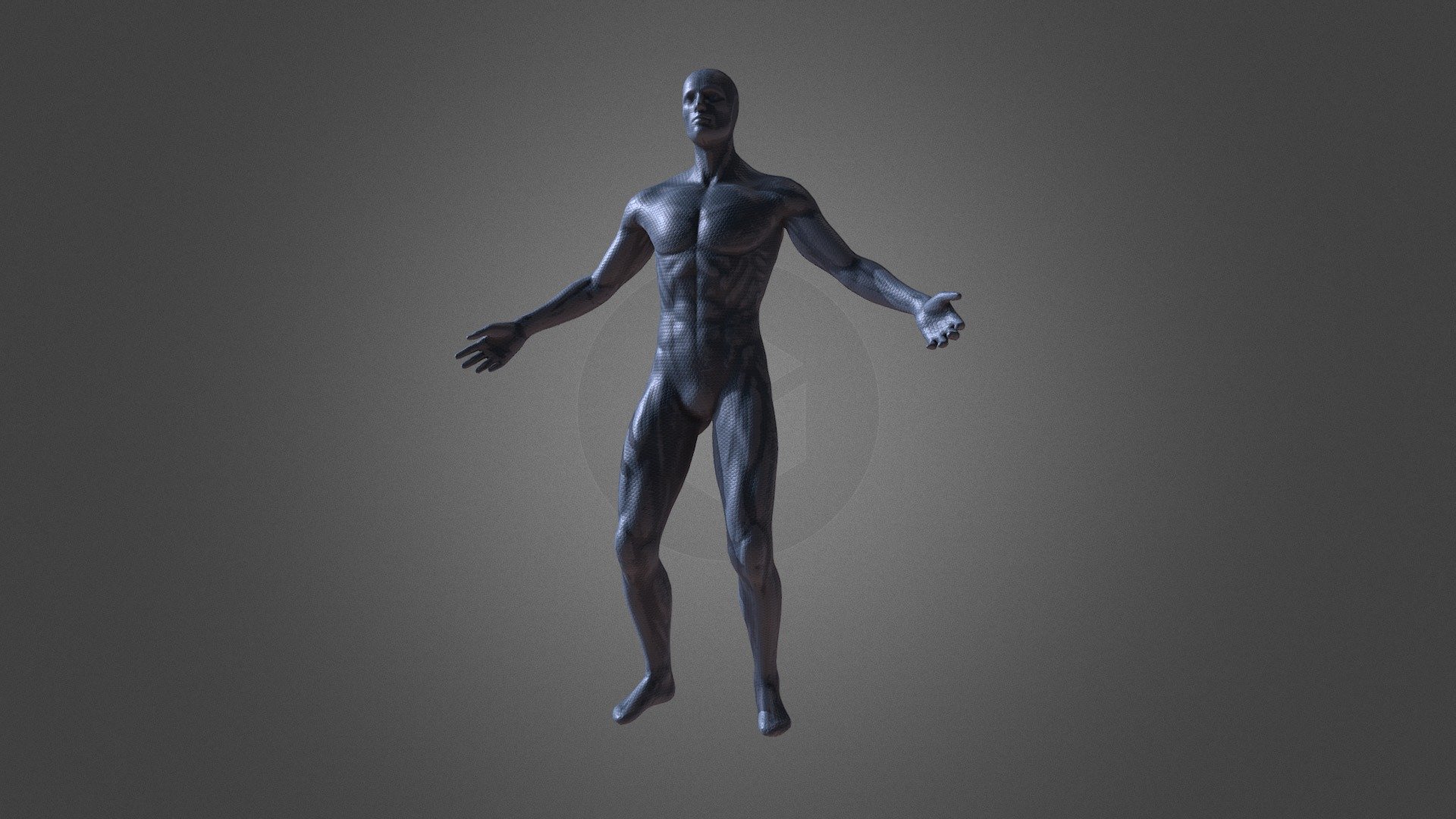 Manbody Lop - 3D model by kapucha76 [5b361c7] - Sketchfab