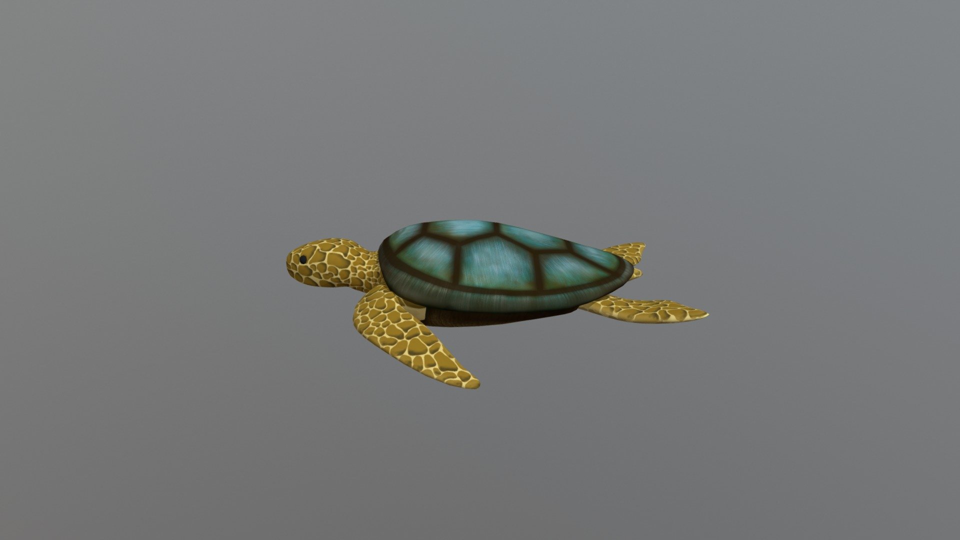 Turtle - 3D model by Emiguéma Studio (@EmiguemaStudio) [5b3ab1e ...