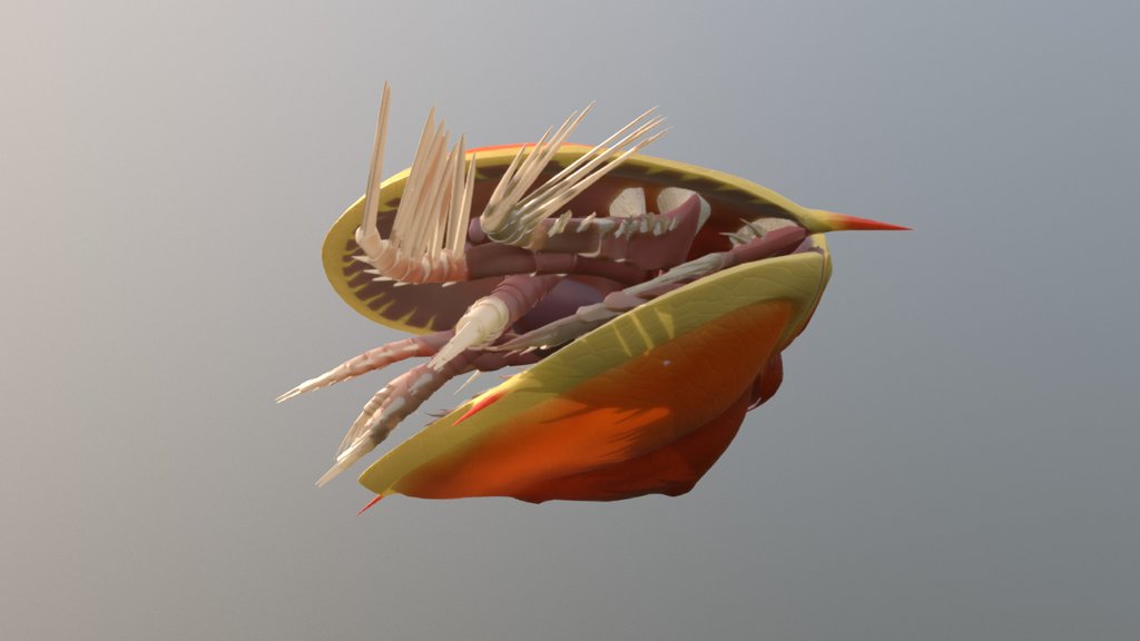 Cambrian - A 3D model collection by weaverofmyth - Sketchfab