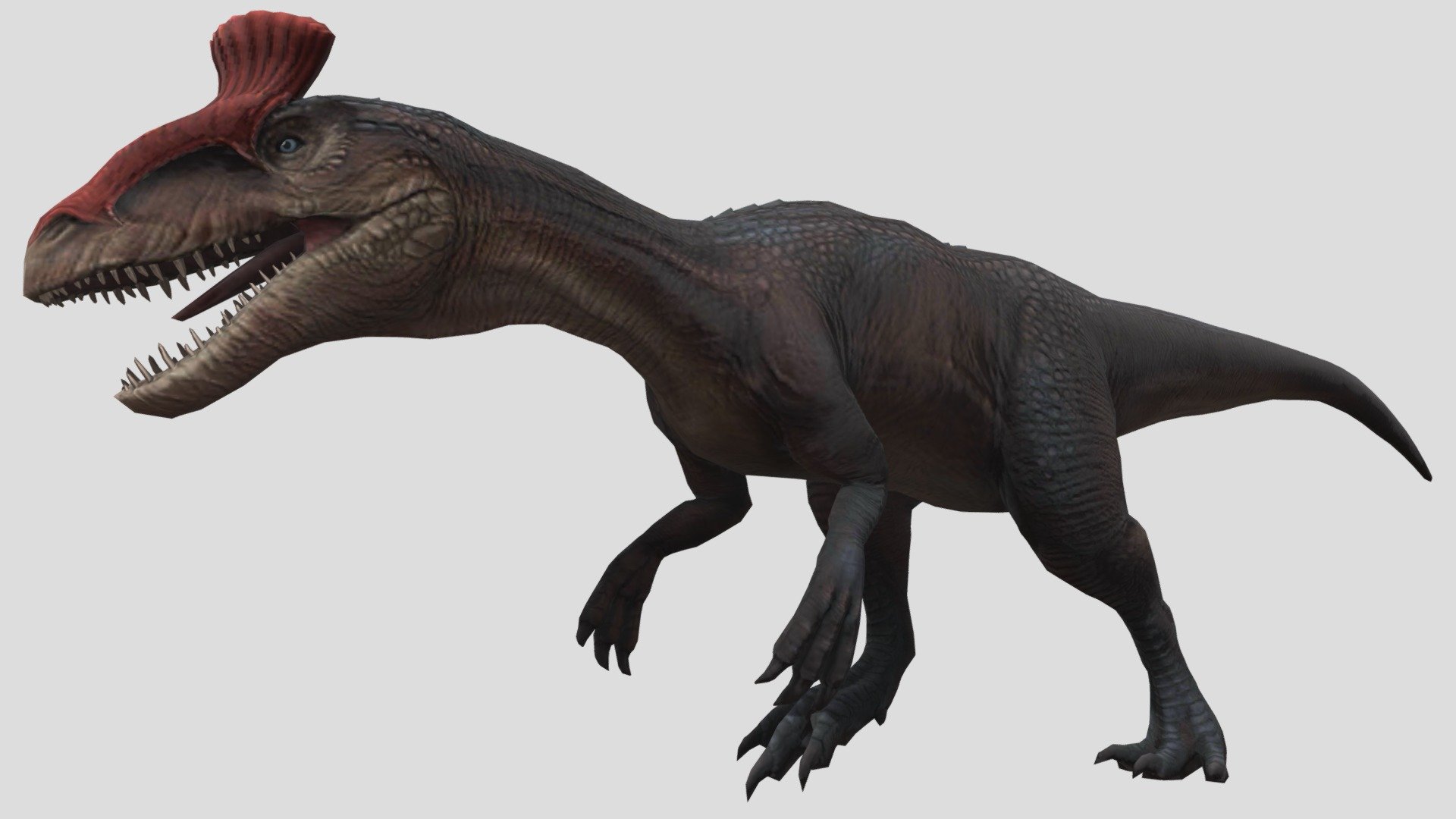 JWA Cryolophosaurus - Download Free 3D model by Jurassic Radassic (@Radassic) [5b4f597] - Sketchfab