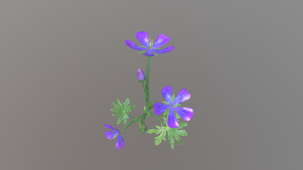 FLOWERS - A 3D model collection by mobofme - Sketchfab