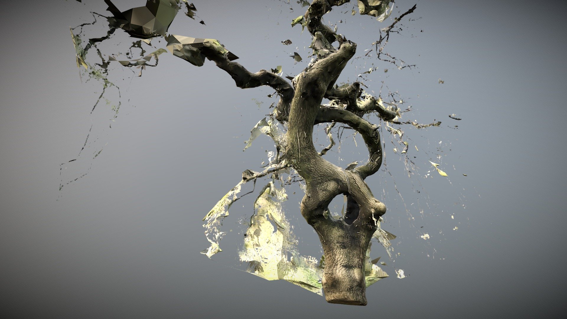 Figure of Eight Tree - Download Free 3D model by JayJayC [5b579fa ...
