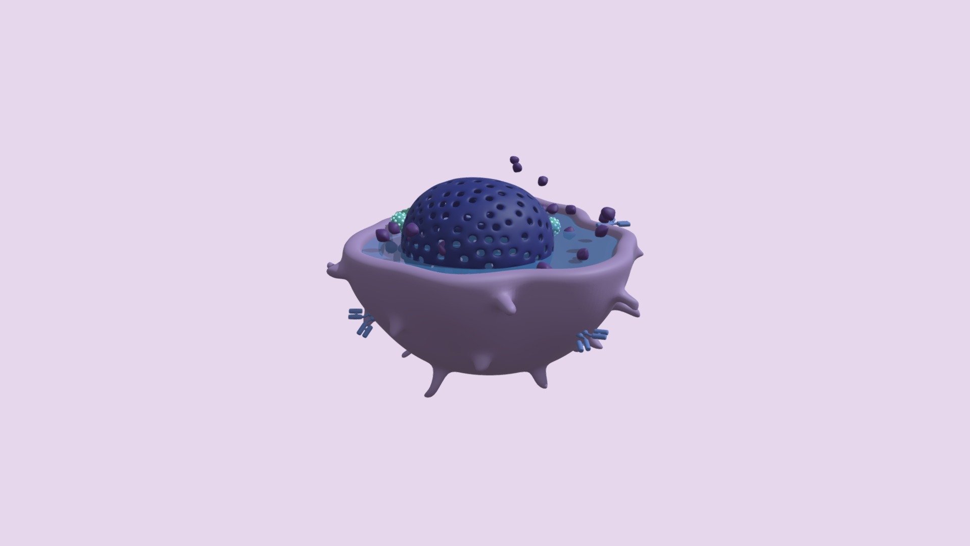 Mast Cell - 3D model by mak7959 [5b58cd5] - Sketchfab