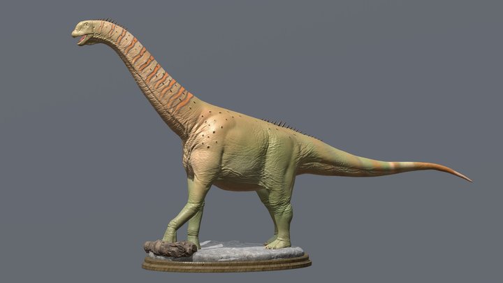 Sauropod 3D models - Sketchfab
