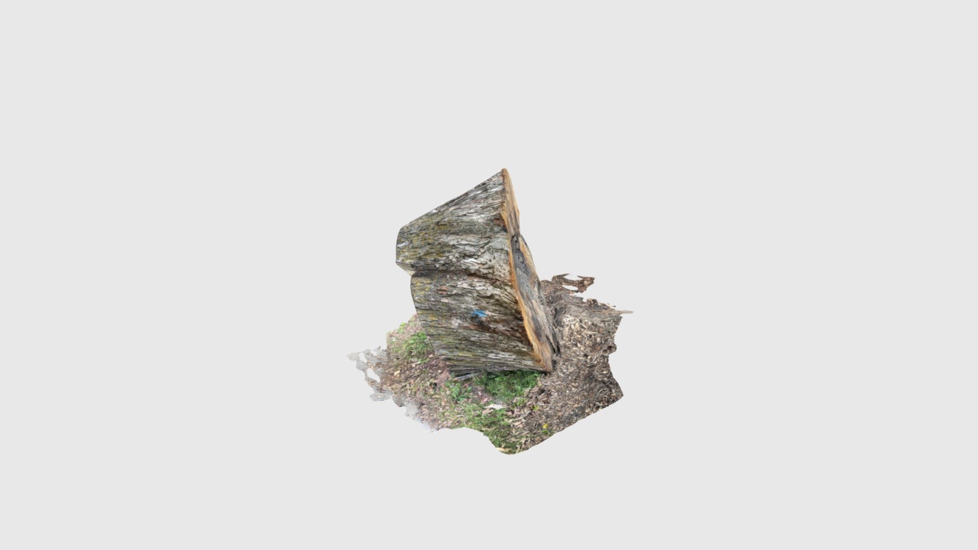 Tree_log - Download Free 3D model by anantmadhavan [5b606f3] - Sketchfab