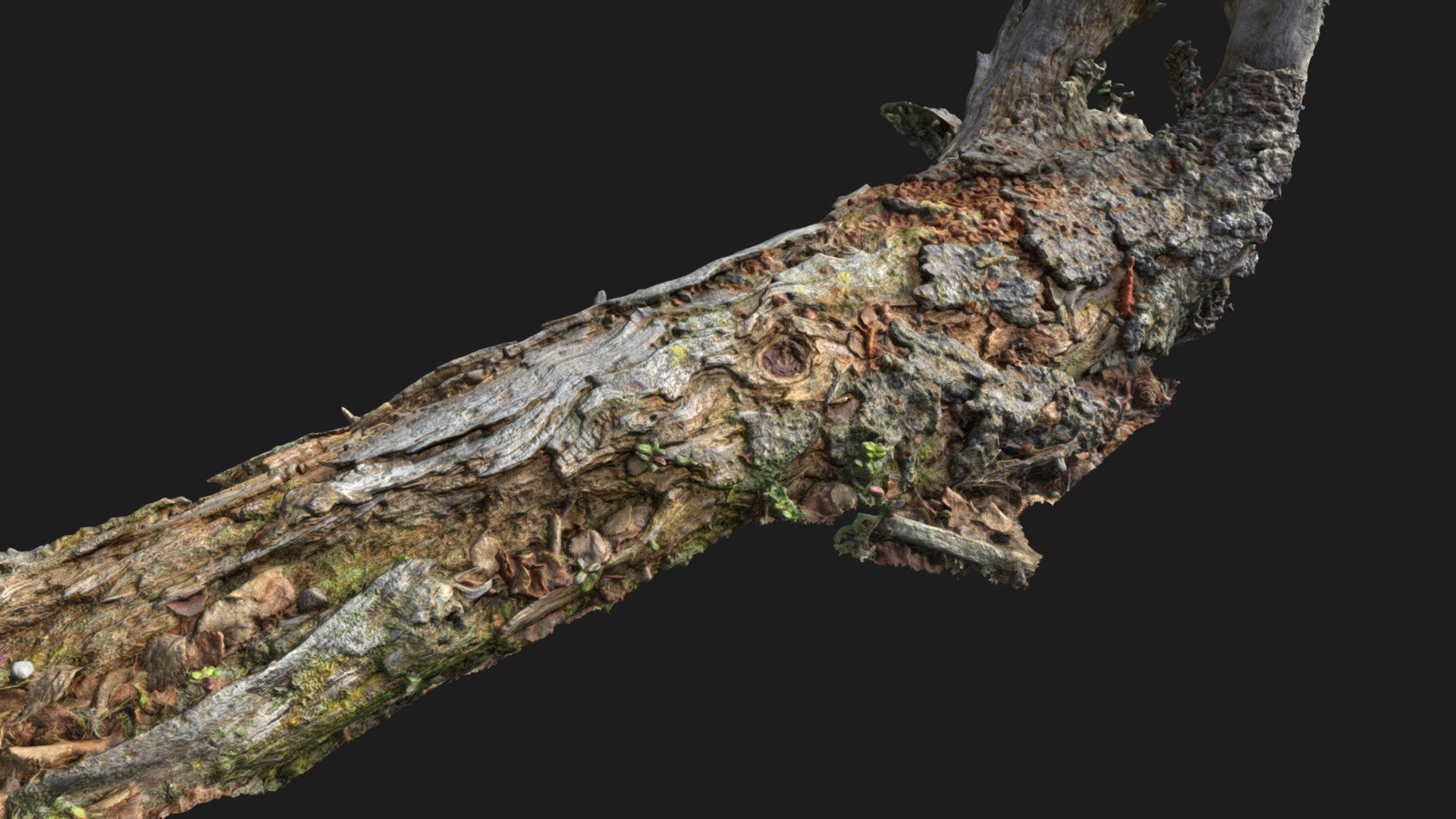 Tree Log 4 - Buy Royalty Free 3D model by northlogic (@northlogicvfx ...