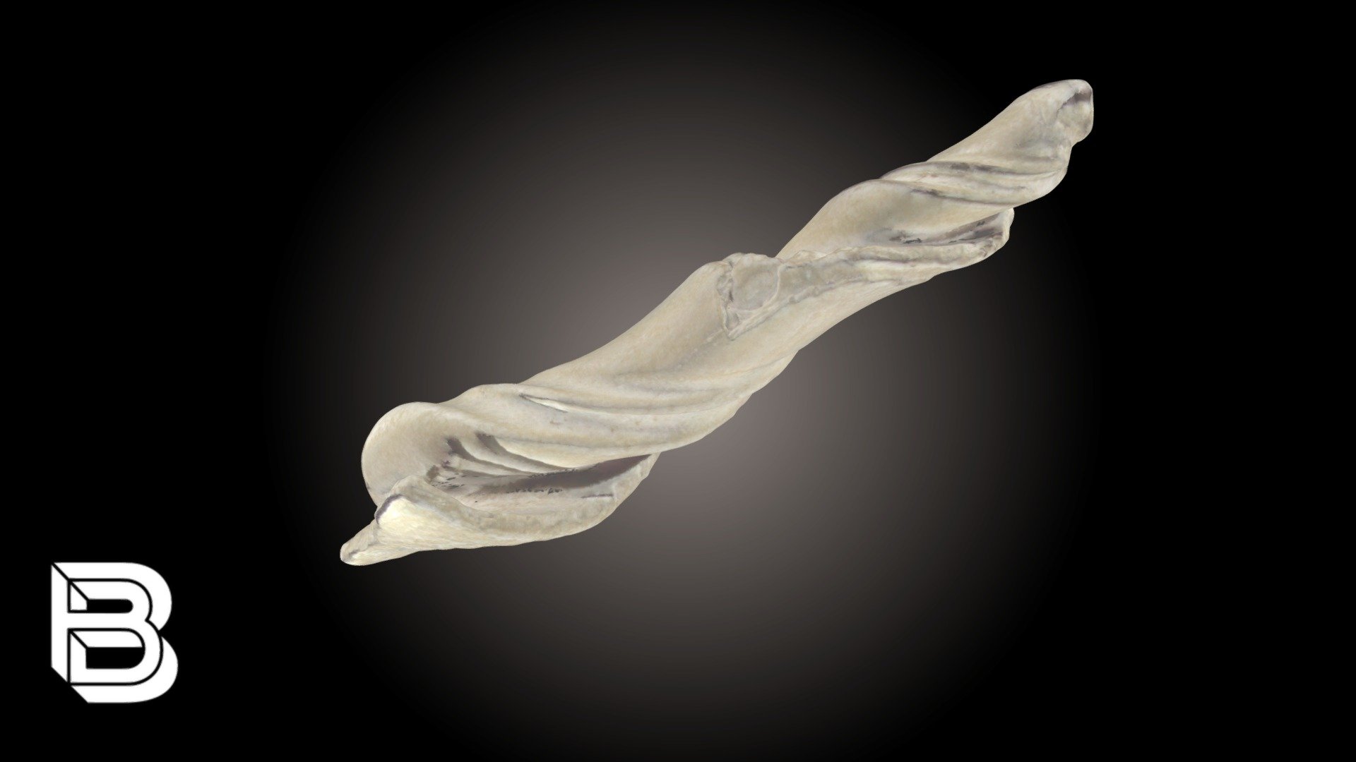 Columella Shell Tool Replica - 3D model by The Bishop Museum of Science ...