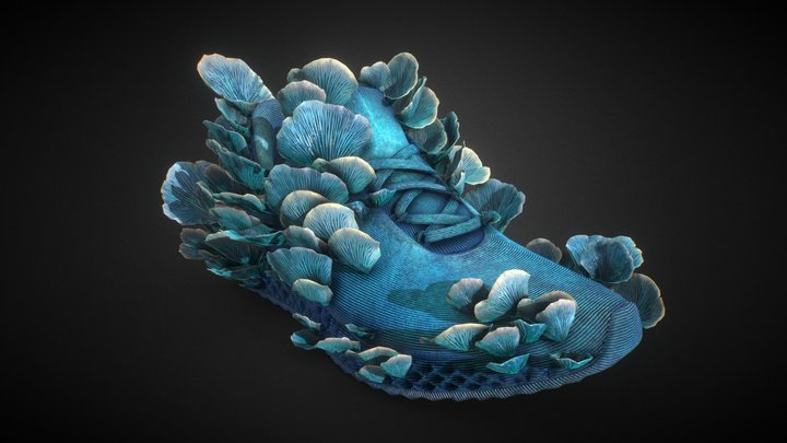 Mycelium 3D models - Sketchfab