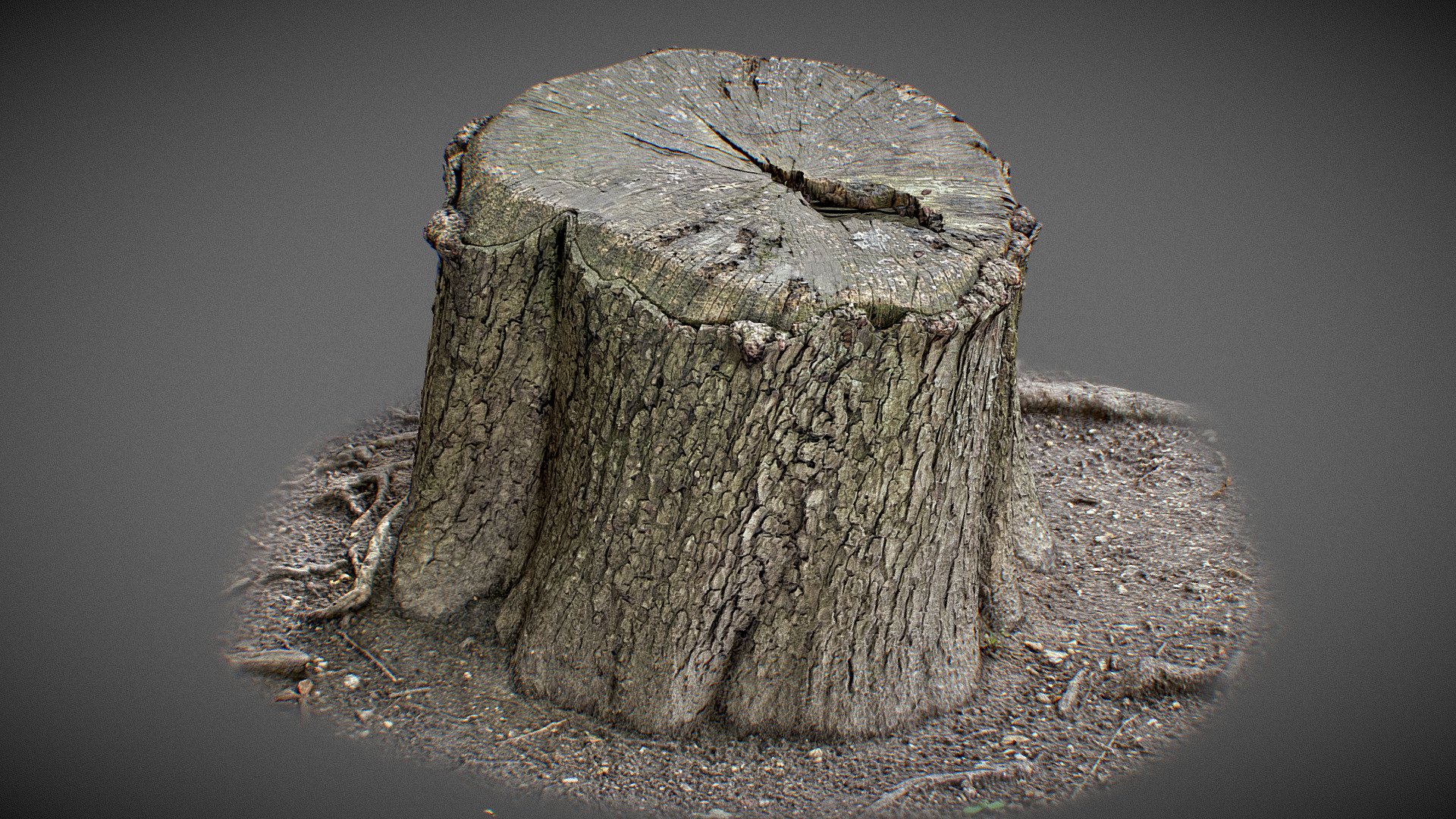 Trunk with water inside - Buy Royalty Free 3D model by 3DSCANFR (sdrn ...