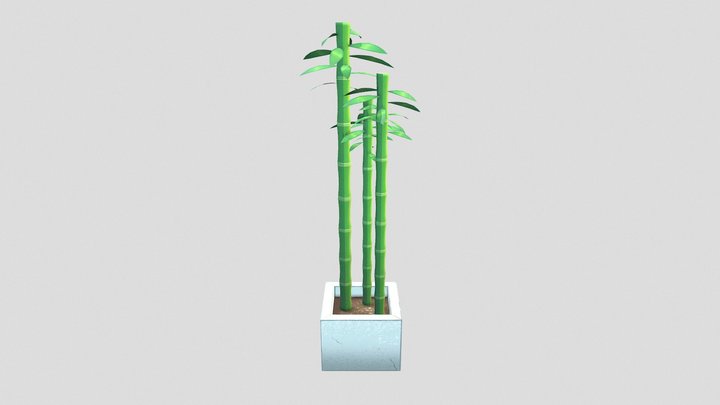 Bambu 3D models - Sketchfab
