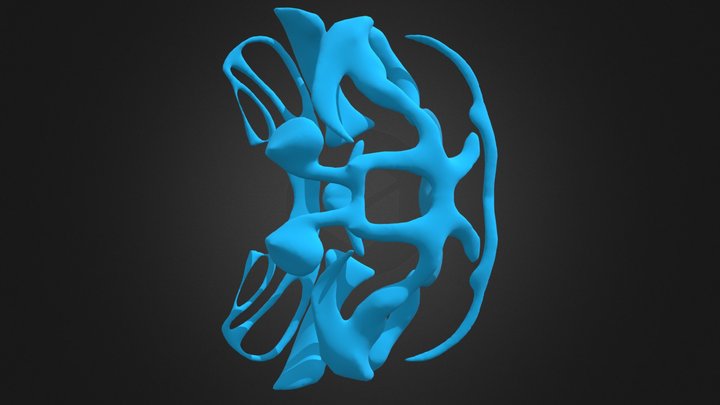 Cartilage 3D models - Sketchfab