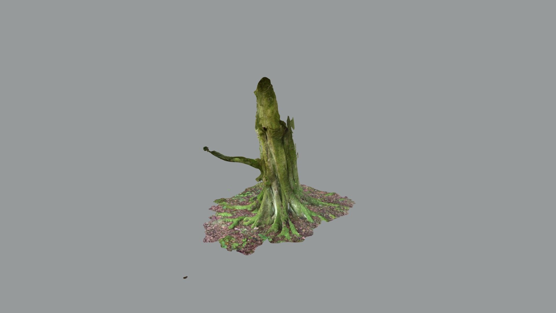 Green tree base - Download Free 3D model by Phillywassupp [5b95e29 ...