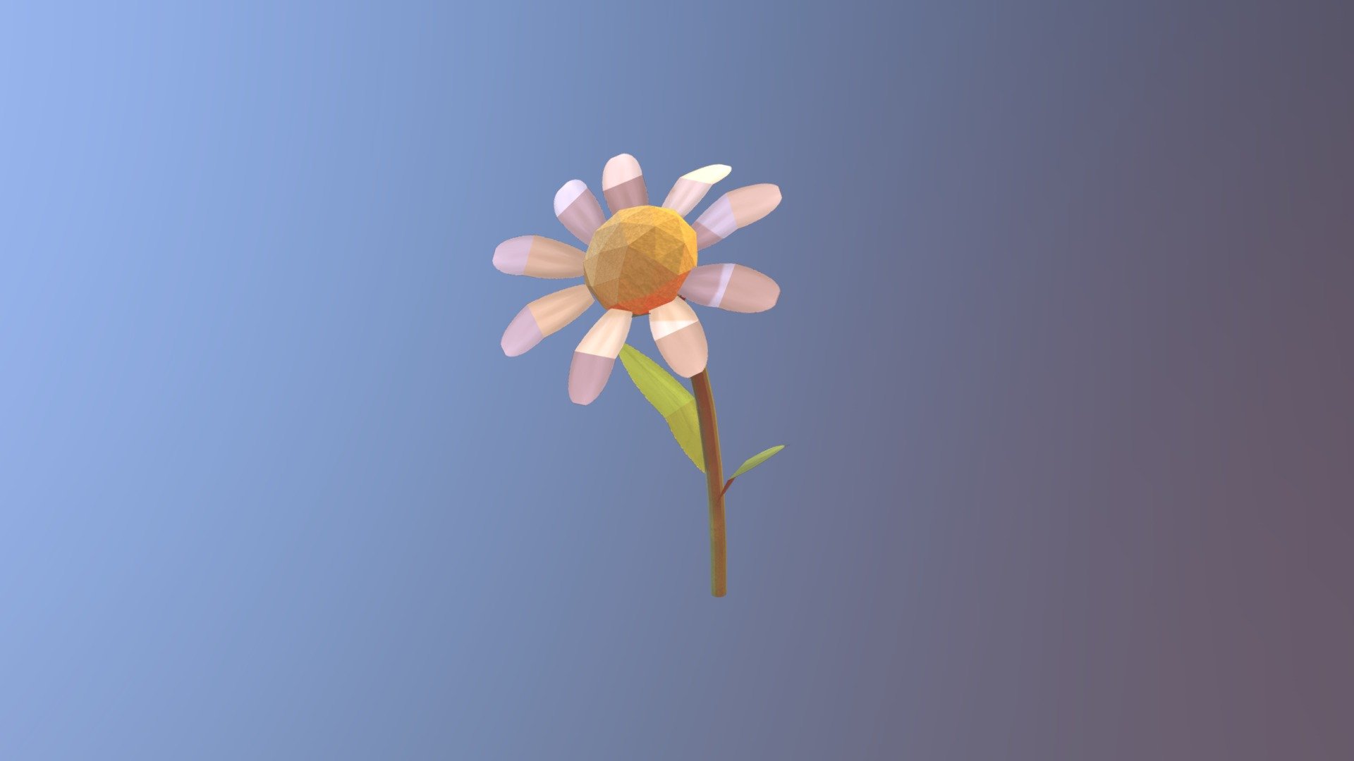 daisy plant - 3D model by b4ngsdrumz [5b96363] - Sketchfab
