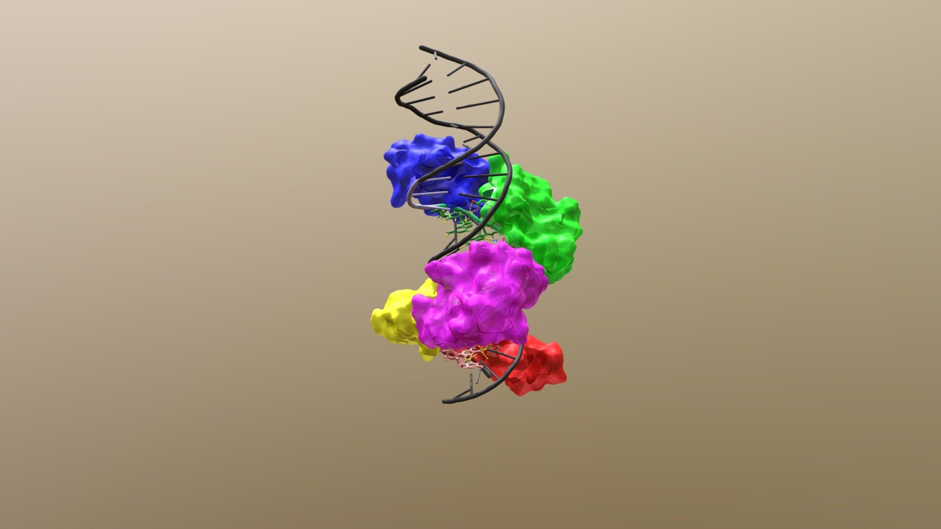CTCF Transcription Factor - 3D model by cf25 (@carlo.famularo25 ...