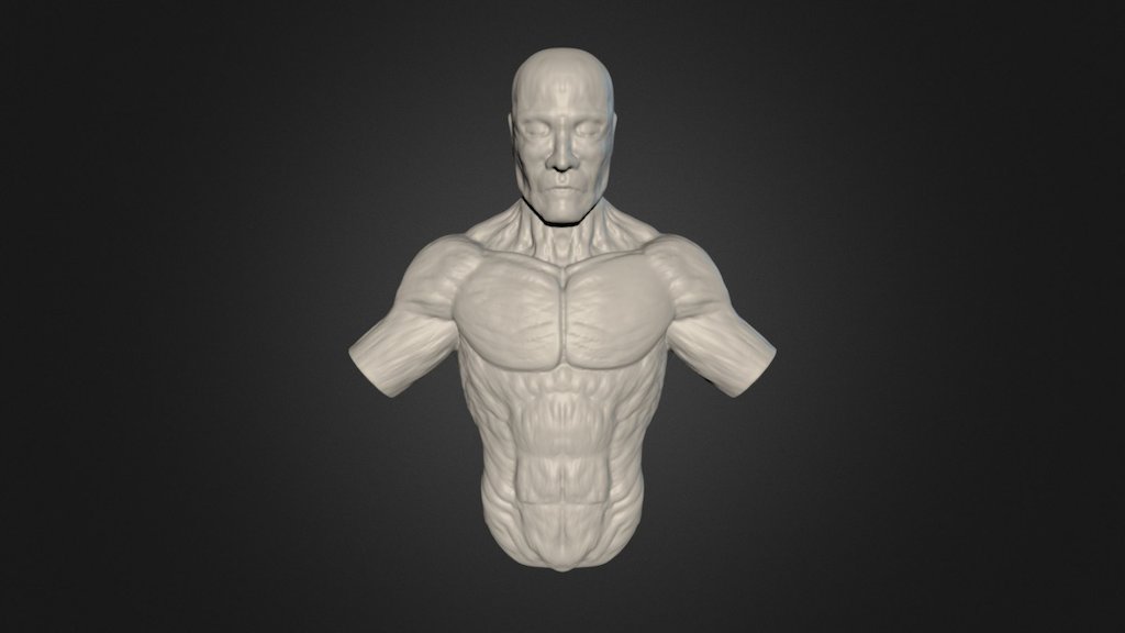 Man Torso v2 - 3D model by MRick_Sickart [5bb7e84] - Sketchfab