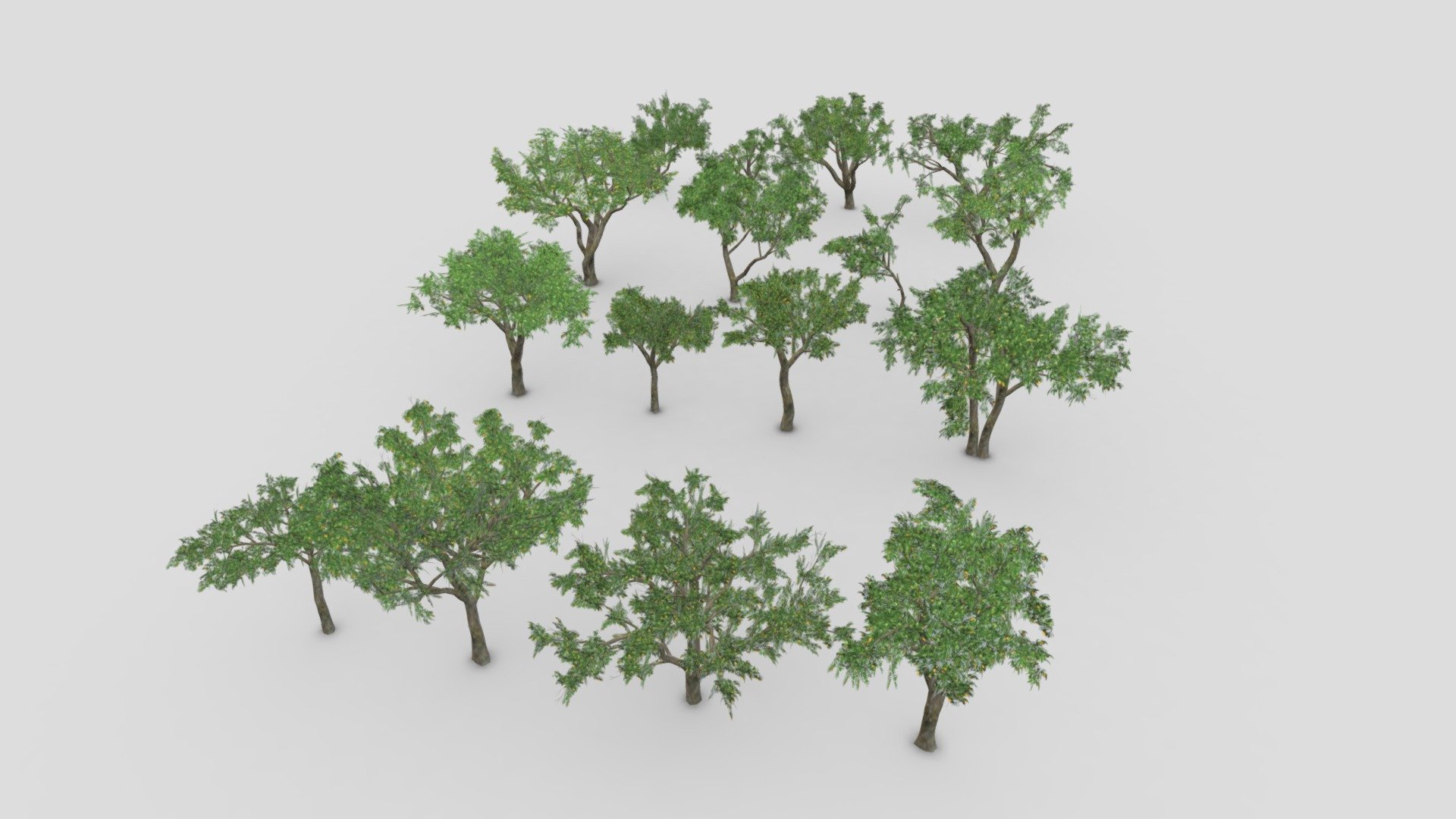 Orange Tree- Pack- 05 - Buy Royalty Free 3D model by ASMA3D [5bc195a ...